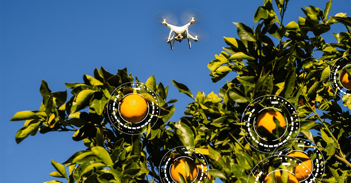 Aerobotics Raises $17M led by Naspers to scale artificial intelligence for agriculture globally
